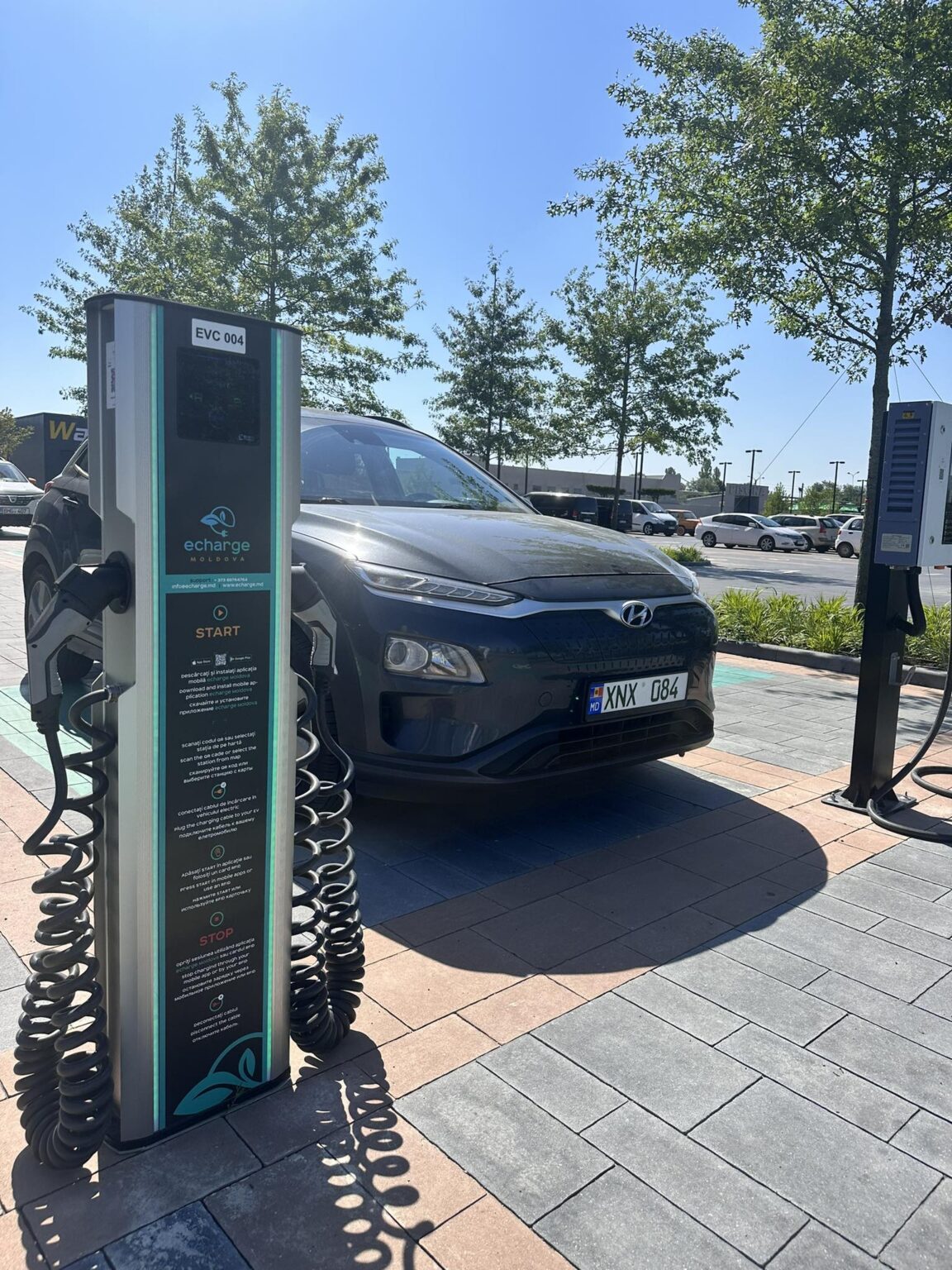 (foto/update) Noile numere de înmatriculare verzi pentru mașinile ...